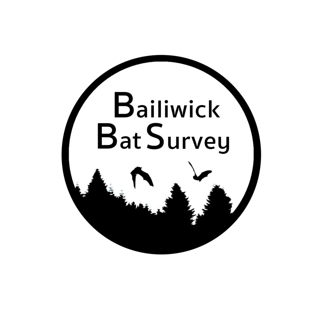 Bailiwick Bat Survey